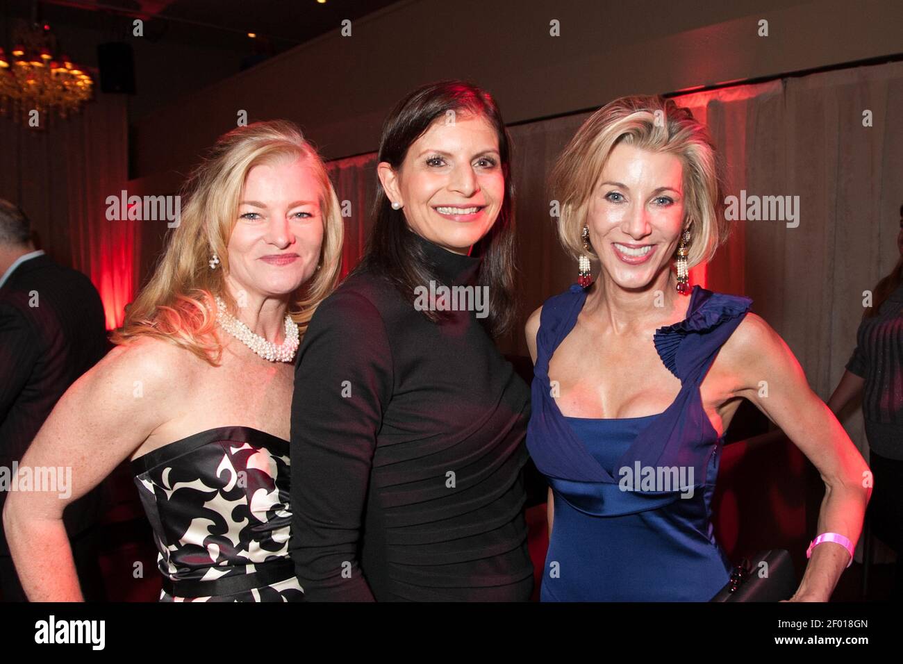 Rene Rodman, Paula Elmore, Joan Straquadanio - 15 November 2012 ...