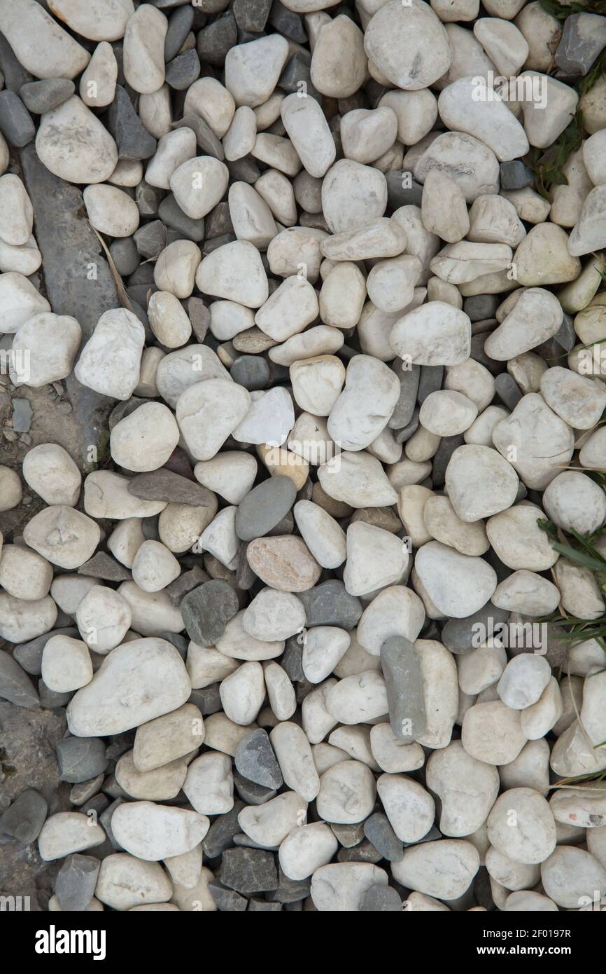 White and gray pebble on the small garden ground. Decoration material ...