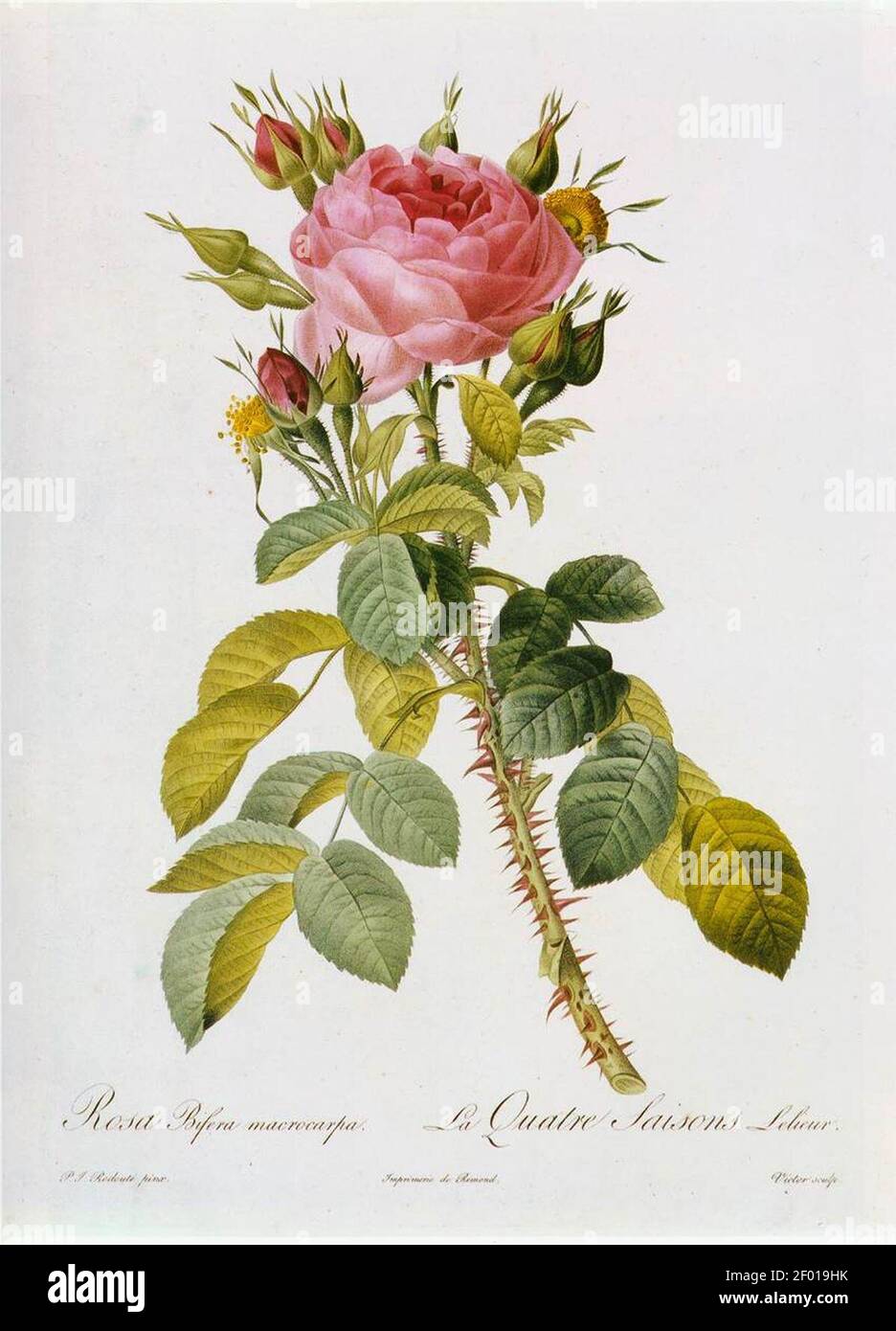 Joseph rosa hi-res stock photography and images - Alamy