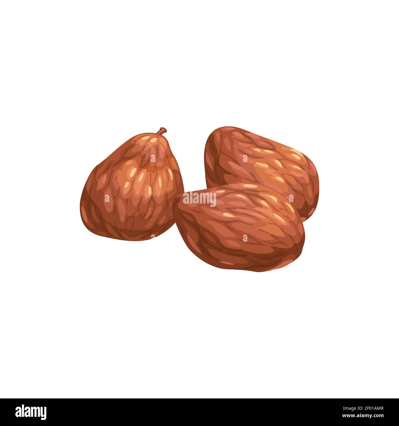 Dried kaki Stock Vector Images - Alamy