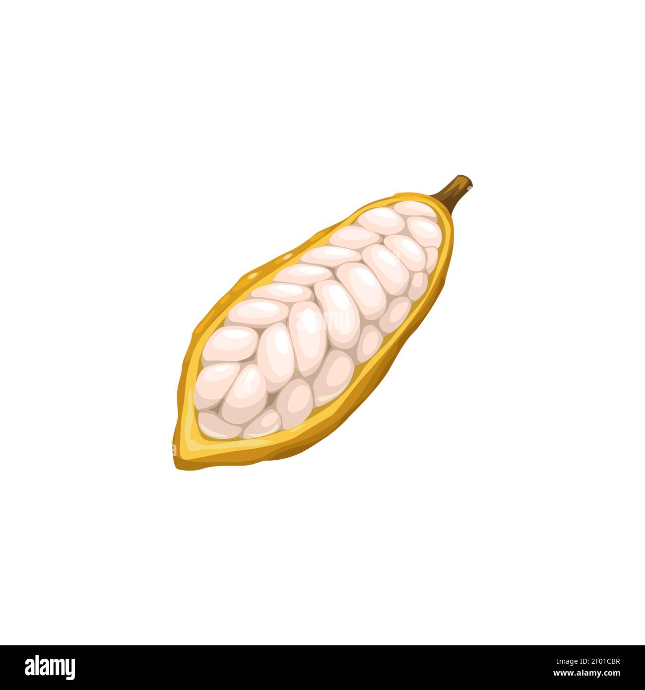 Cocoa bean, chocolate and cacao tree plant food, vector icon. Chocolate ...