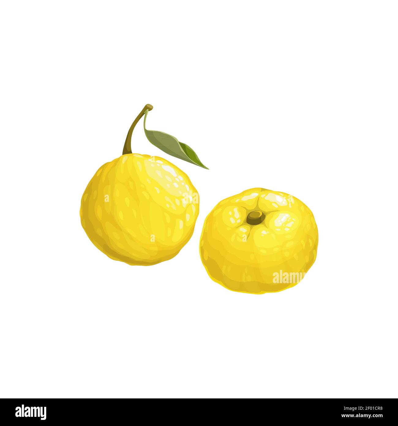 Yuzu fruit, exotic Japanese citrus fruits icon, vector tropical food ...