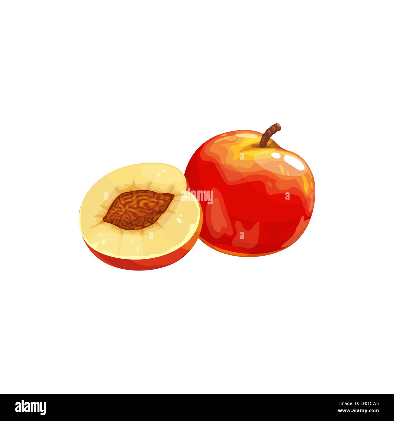 Nectarine peach fruit icon, tropical exotic food, vector isolated ...