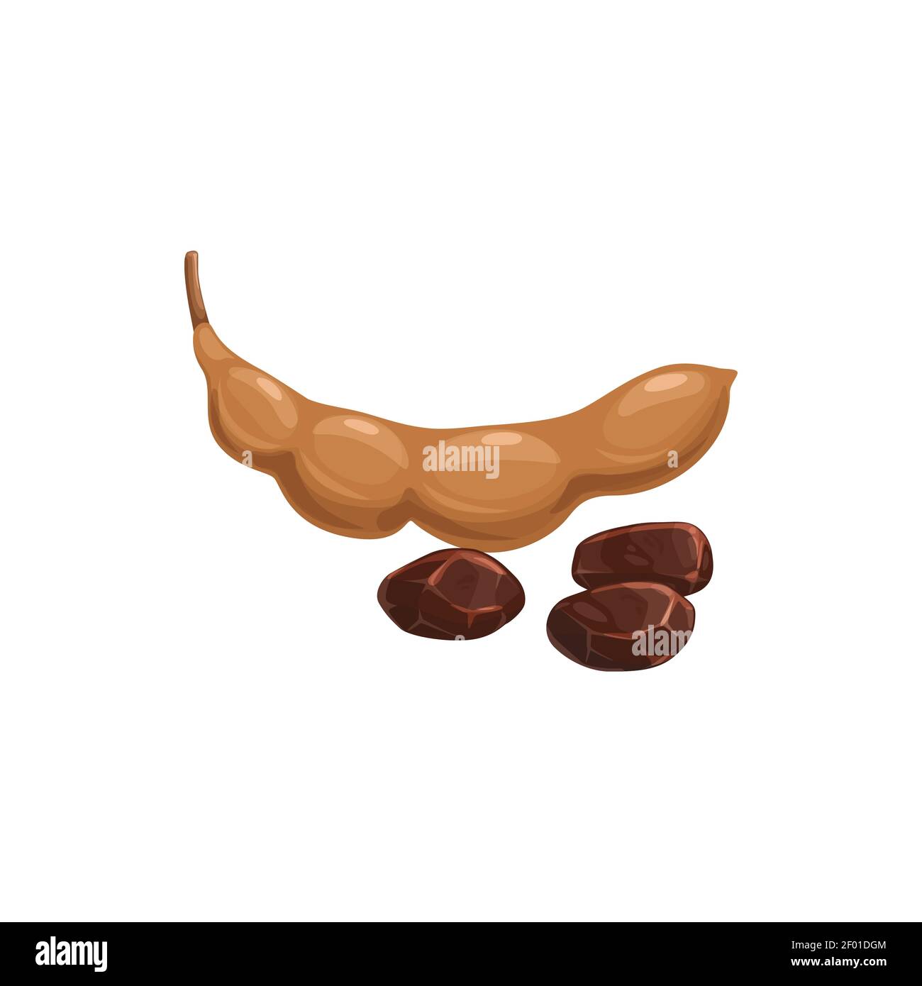 Tamarind fruit, tropical exotic food, vector isolated icon. Tamarind ...