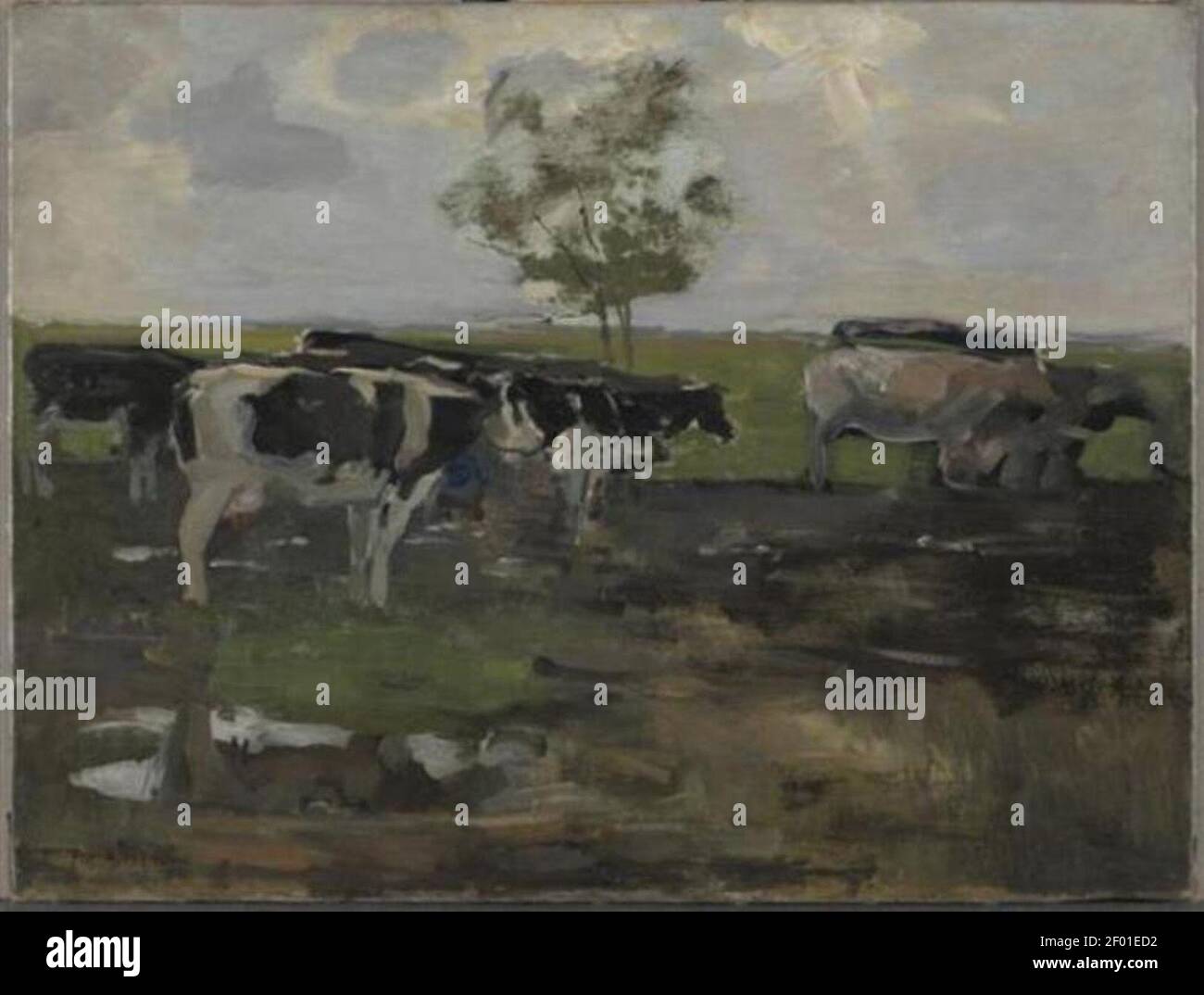 Mondriaan cows hi-res stock photography and images - Alamy