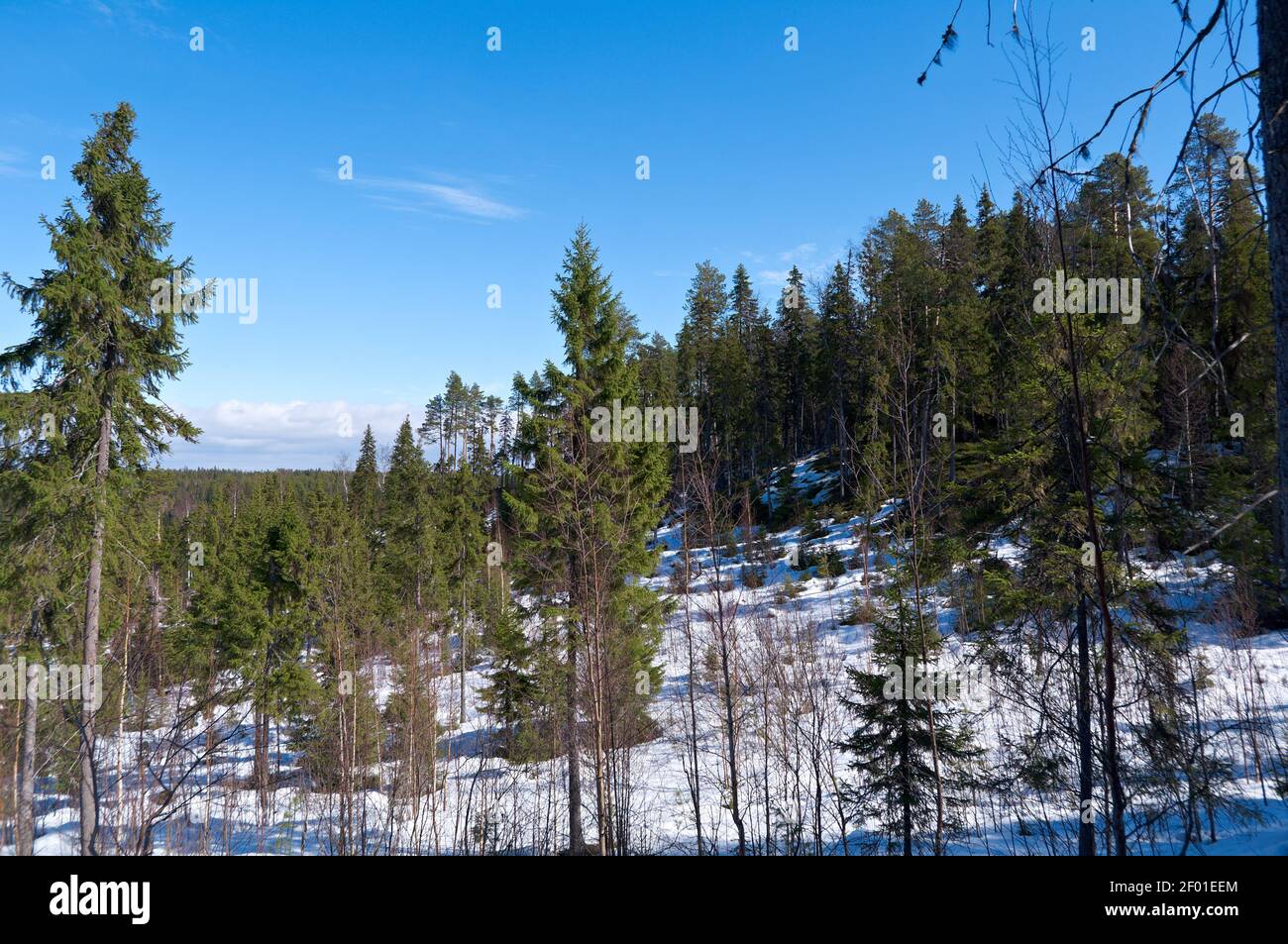 Snowy spring landscape Stock Photo - Alamy