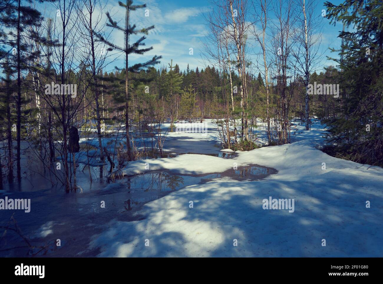 Snowy spring landscape Stock Photo - Alamy