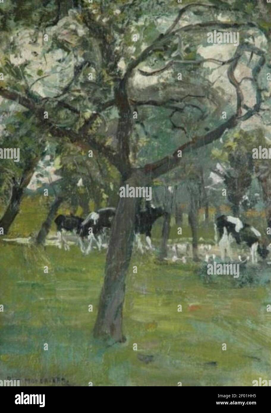 Mondriaan cows hi-res stock photography and images - Alamy