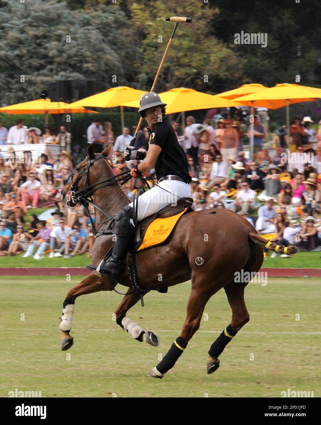 6 October 2012 - Pacific Palisades, California - Nacho Figueras, Black ...