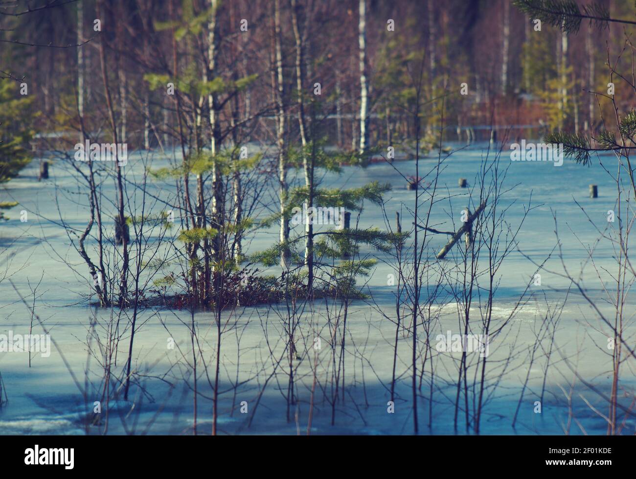 Snowy spring landscape Stock Photo - Alamy