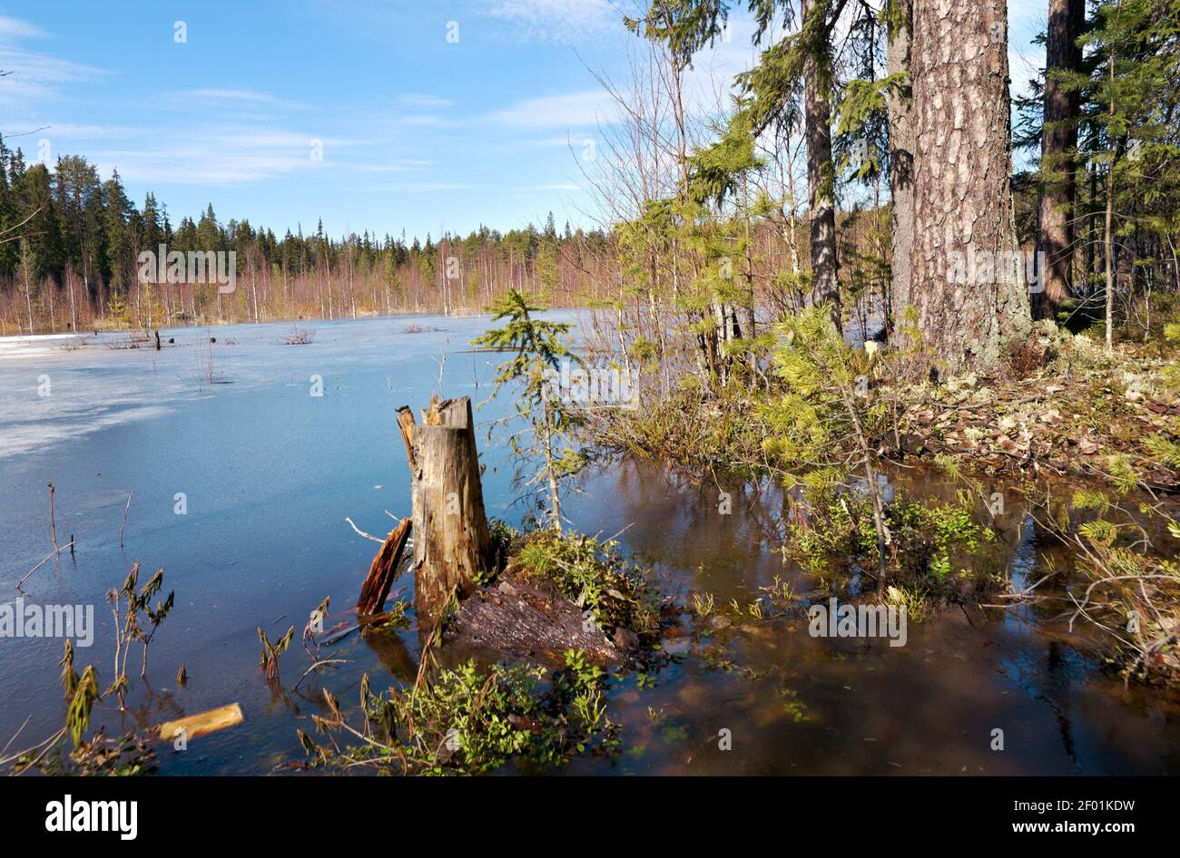 Snowy spring landscape Stock Photo - Alamy