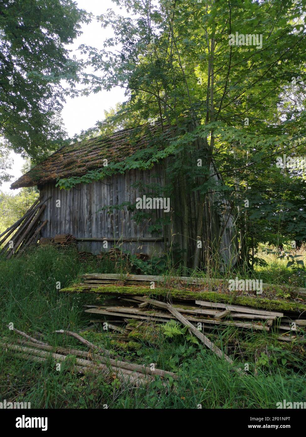 An old rural wooden house surrounded by green grass in spring Stock ...