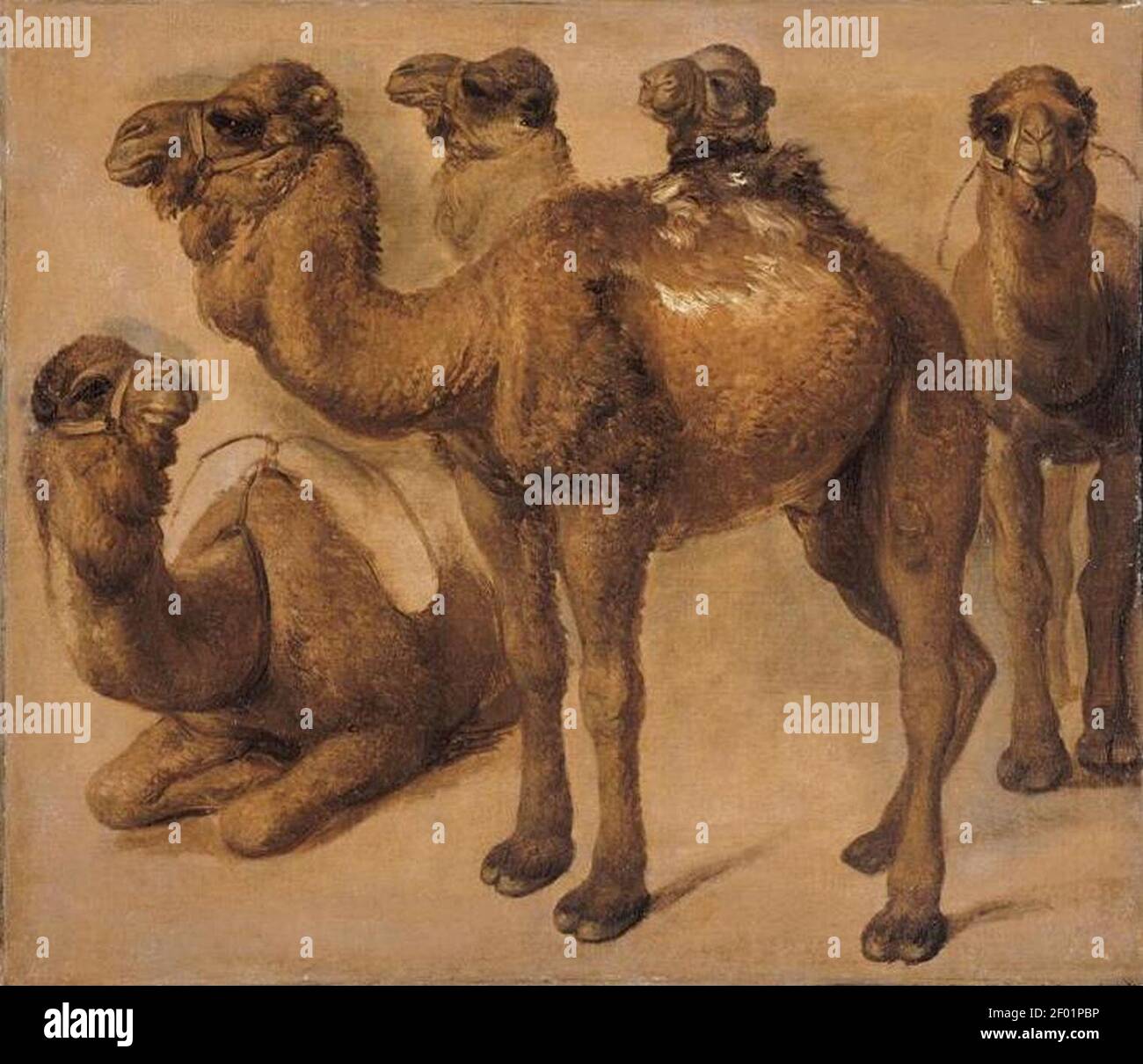 Pieter boel hi-res stock photography and images - Alamy