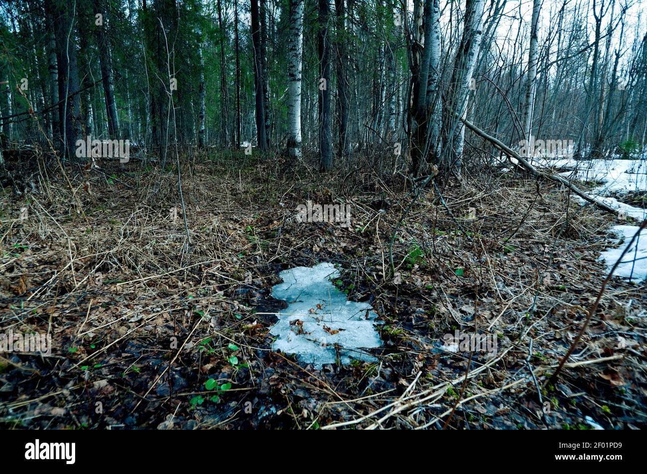 Snowy spring landscape Stock Photo - Alamy