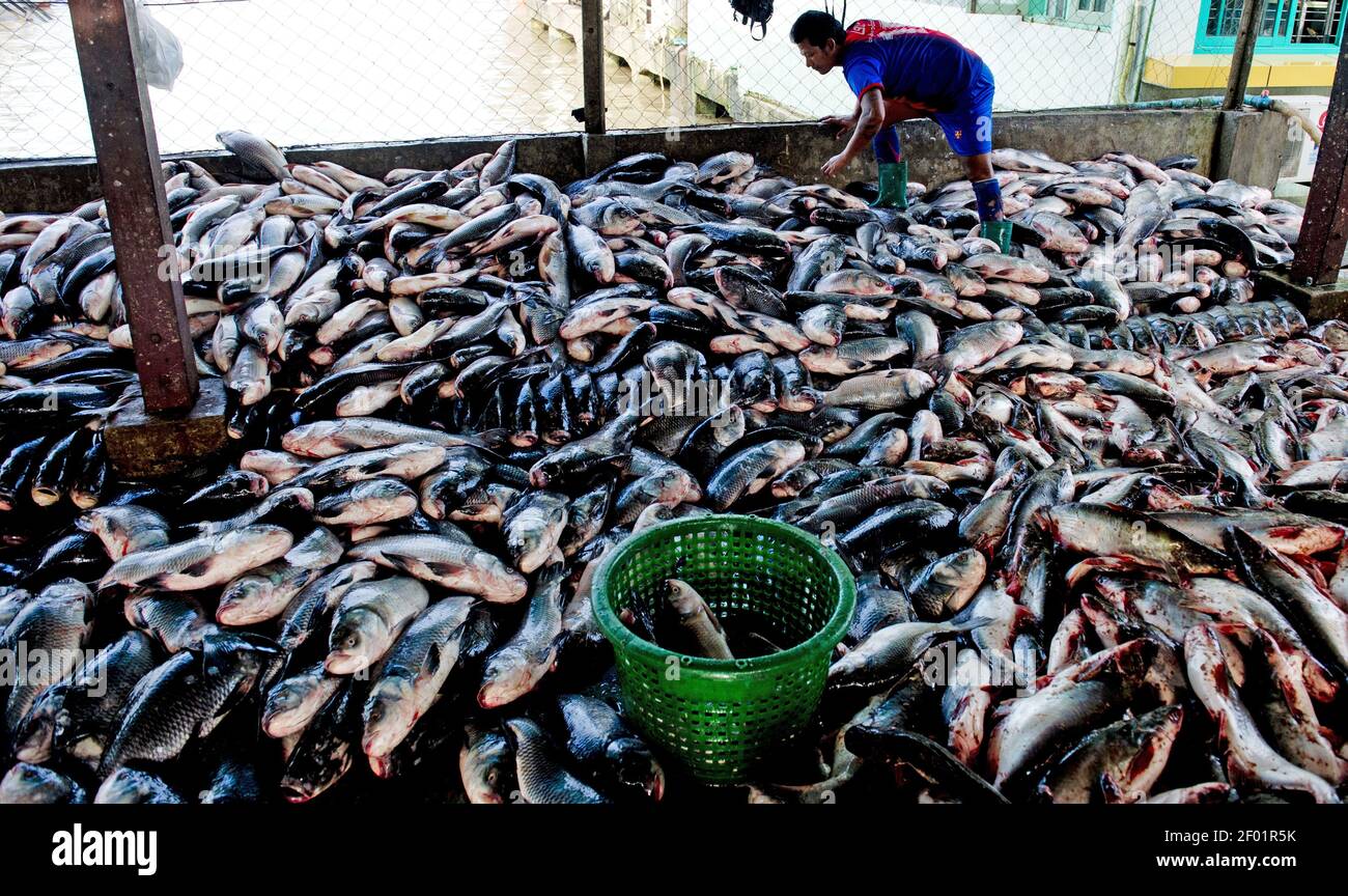 Fish market and vegetable market in Yangon, Myanmar. (Photo by Robin ...
