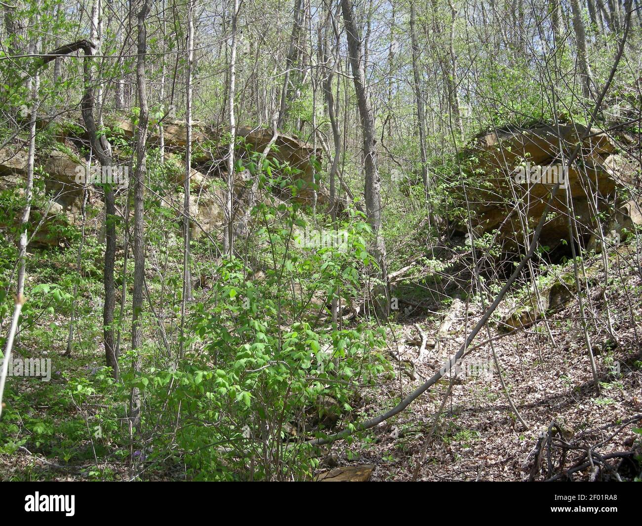The Wilderness Trail at The Edge of Appalachia Preserve in southern ...