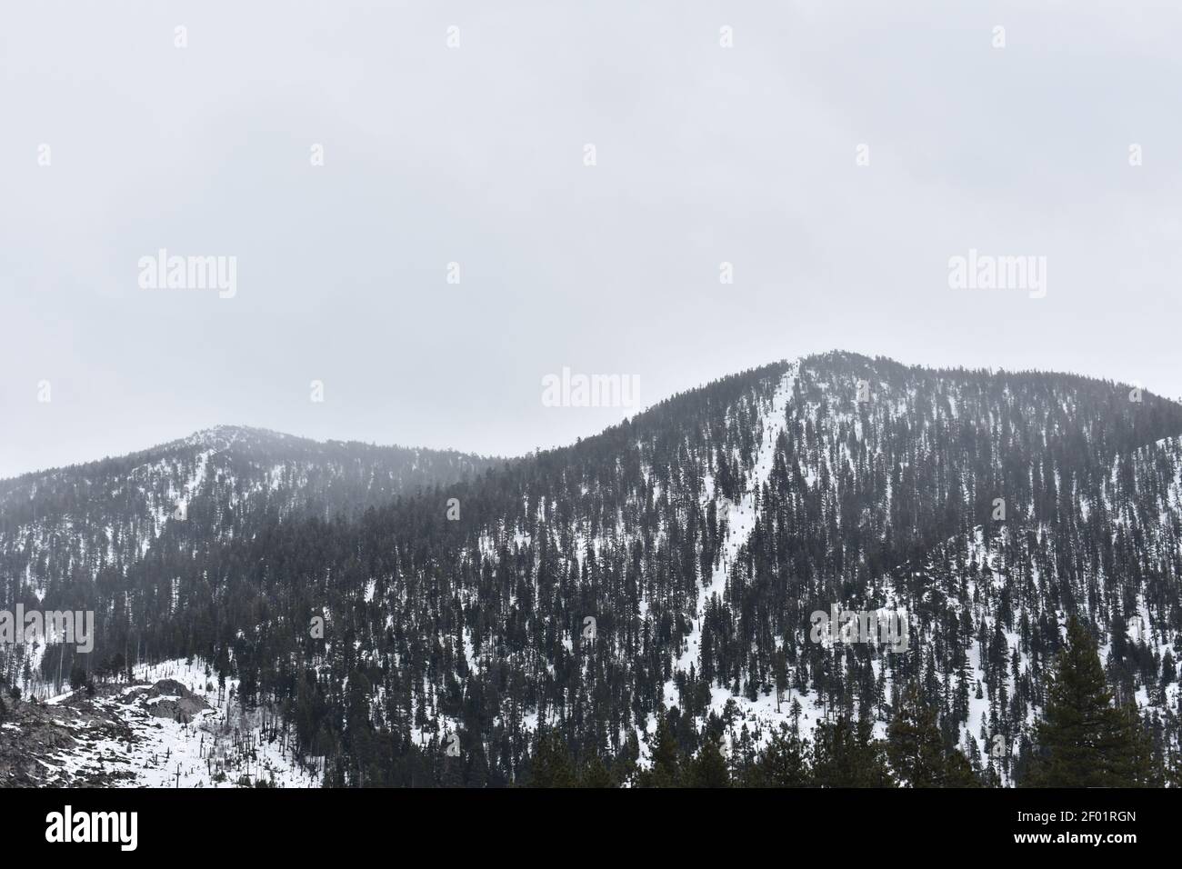 The winter landscape of a snowy pine tree-covered mountain in Lake ...
