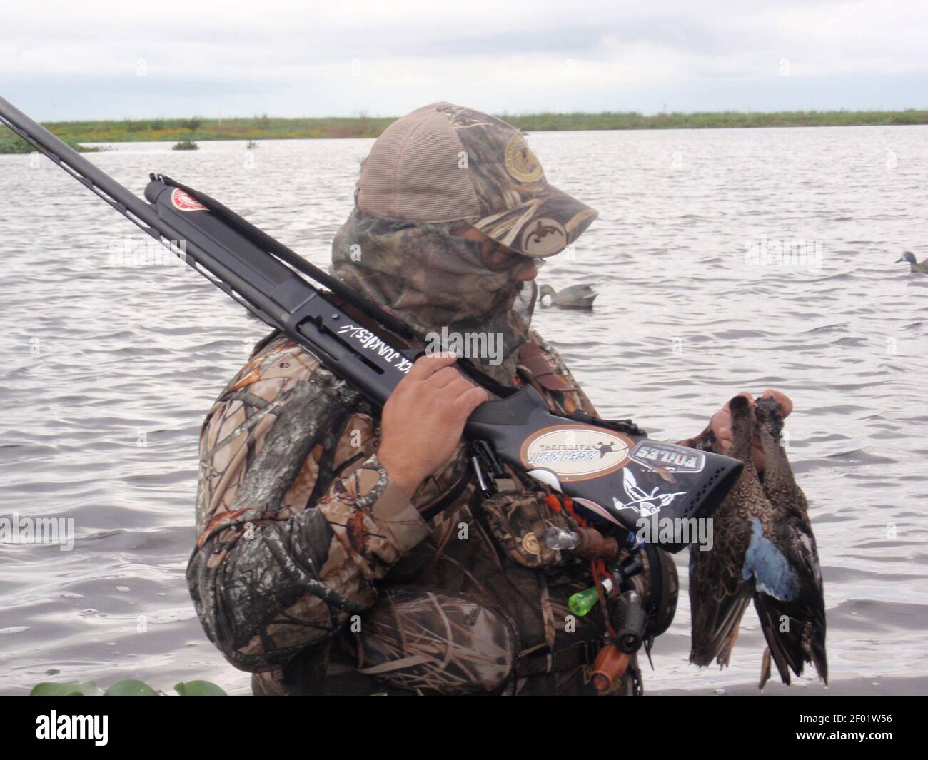 Duck hunter Chuck Echenique holds up two blue-winged teal he shot at ...