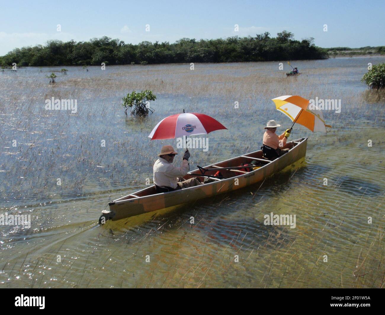 Everglades national park canoe hi-res stock photography and images - Alamy