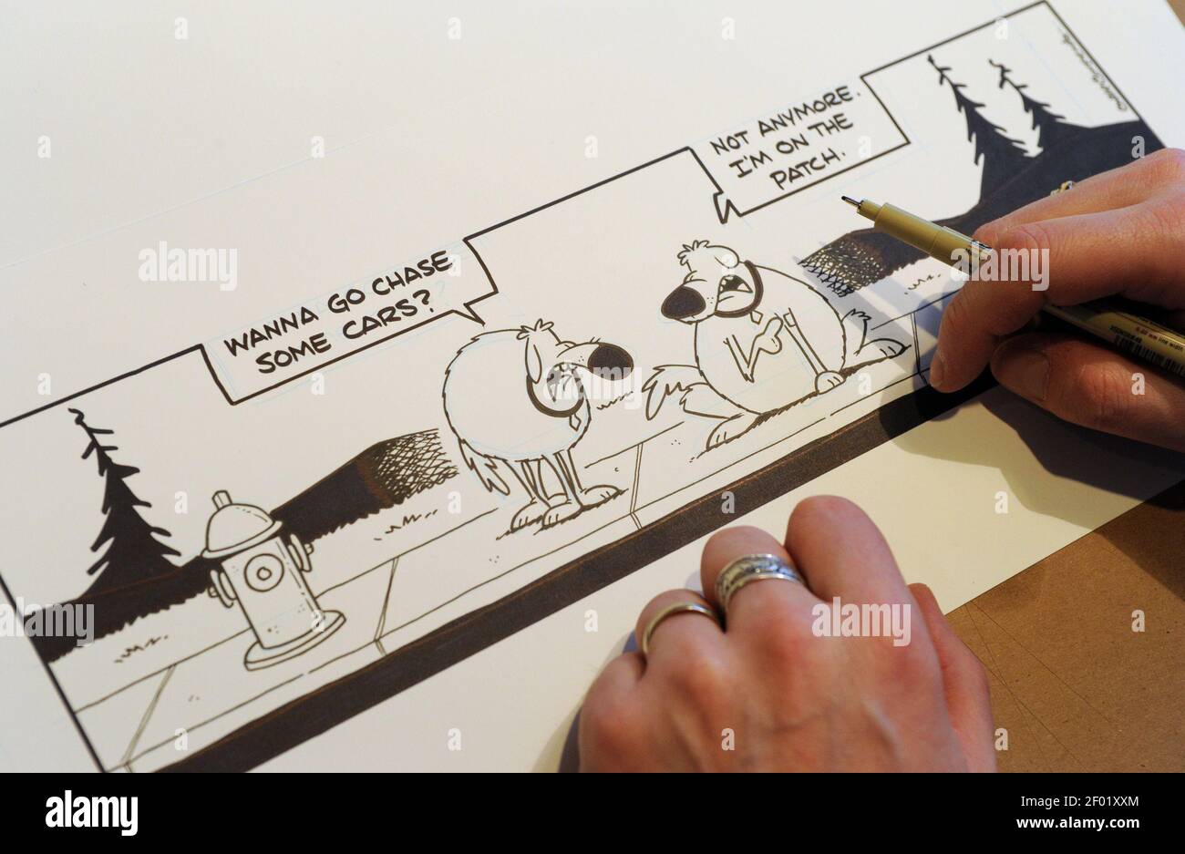 Chad Carpenter draws his "Tundra" cartoon in his studio at his home in ...
