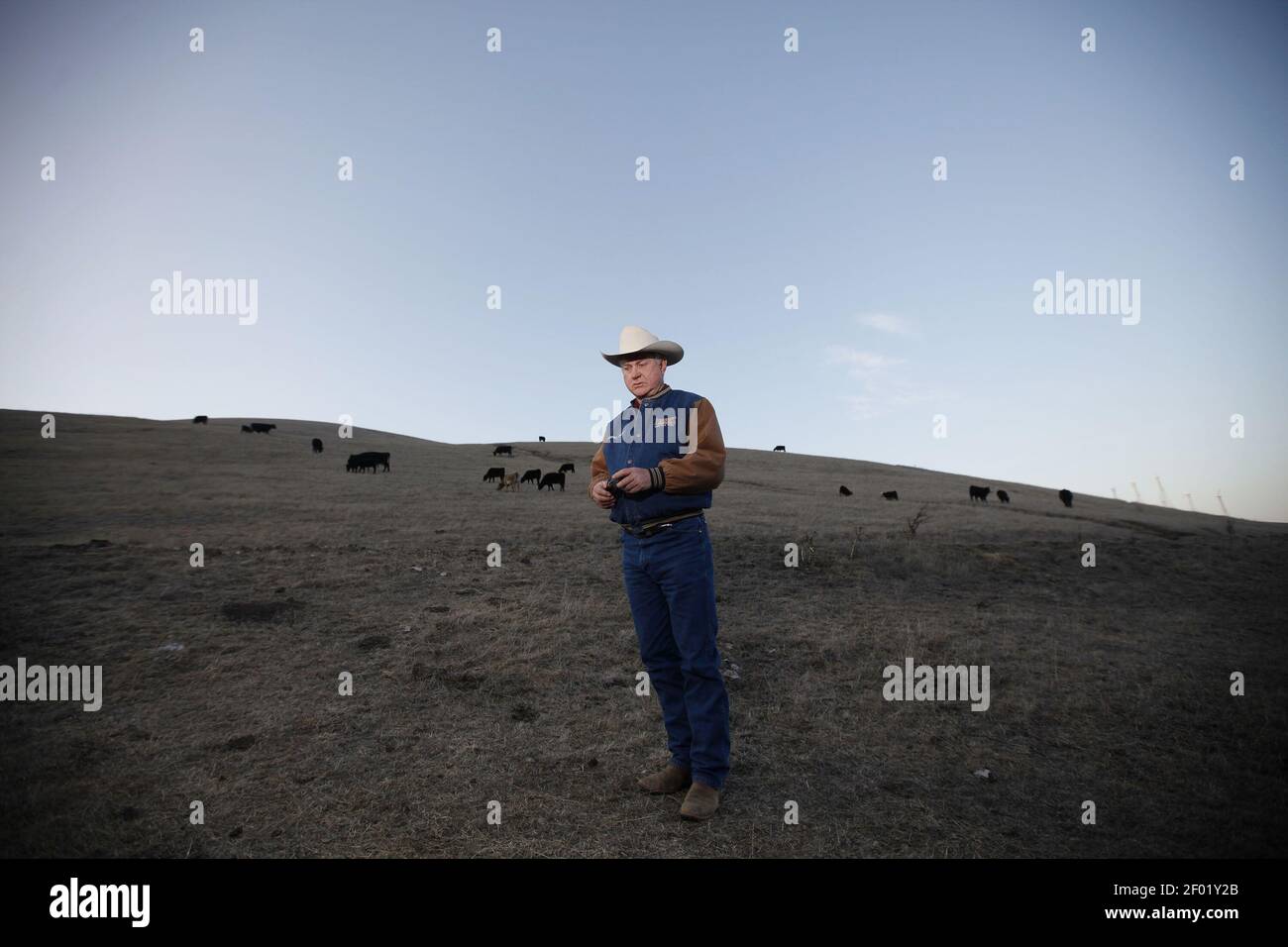 Rancher Darrel Sweet at Sweet Ranches in Livermore, California, on ...