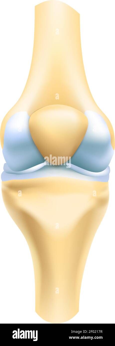 Synovial fluid hi-res stock photography and images - Alamy