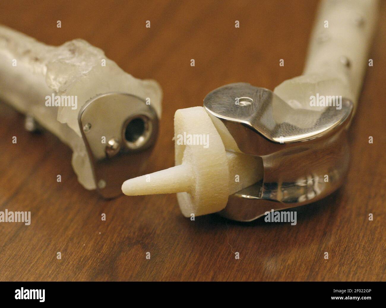 Cyrano, a ten-year-old tabby will be the first cat to receive total ...