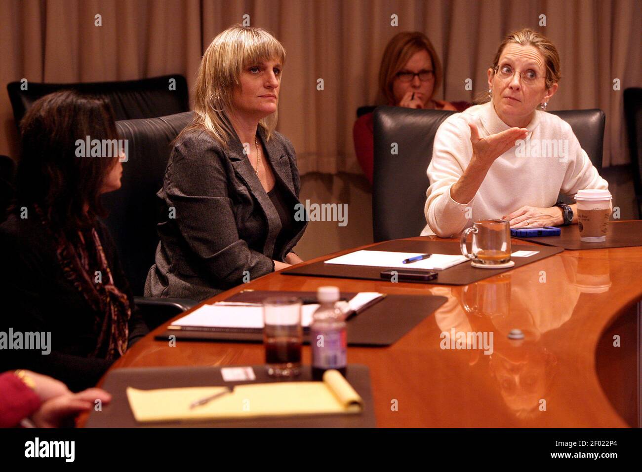 Kristine Kerr, a family court commissioner with St. Louis County ...