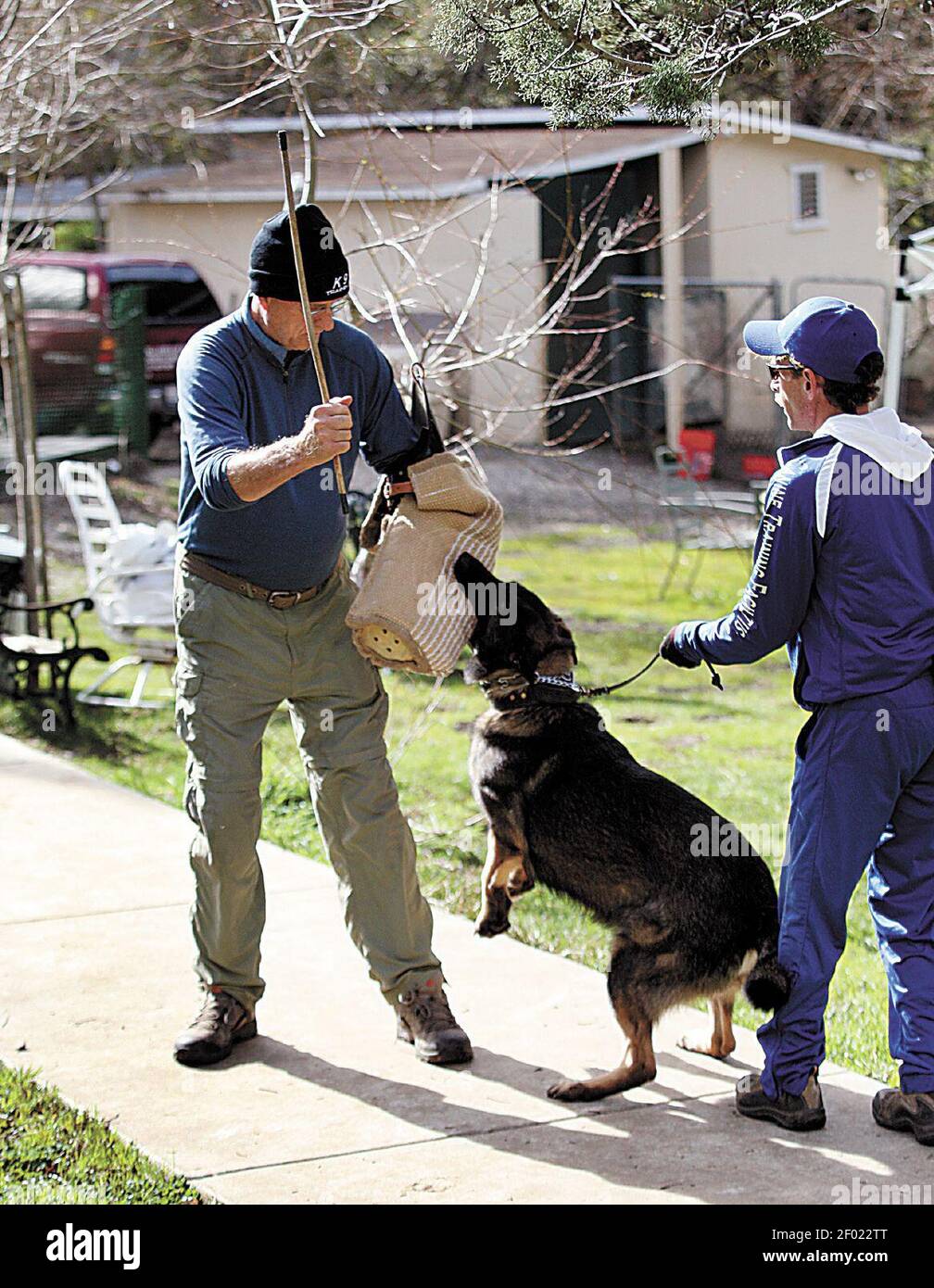 How To Train A Security Dog