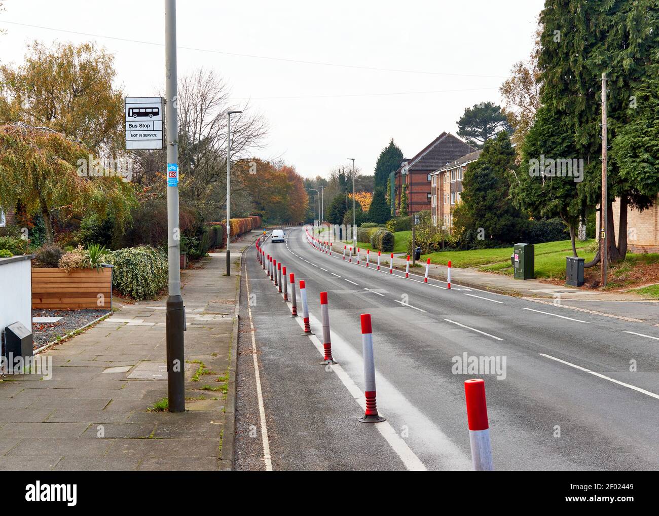 Shows a car on a tree-lined road with the new pop-up cycle routes ...