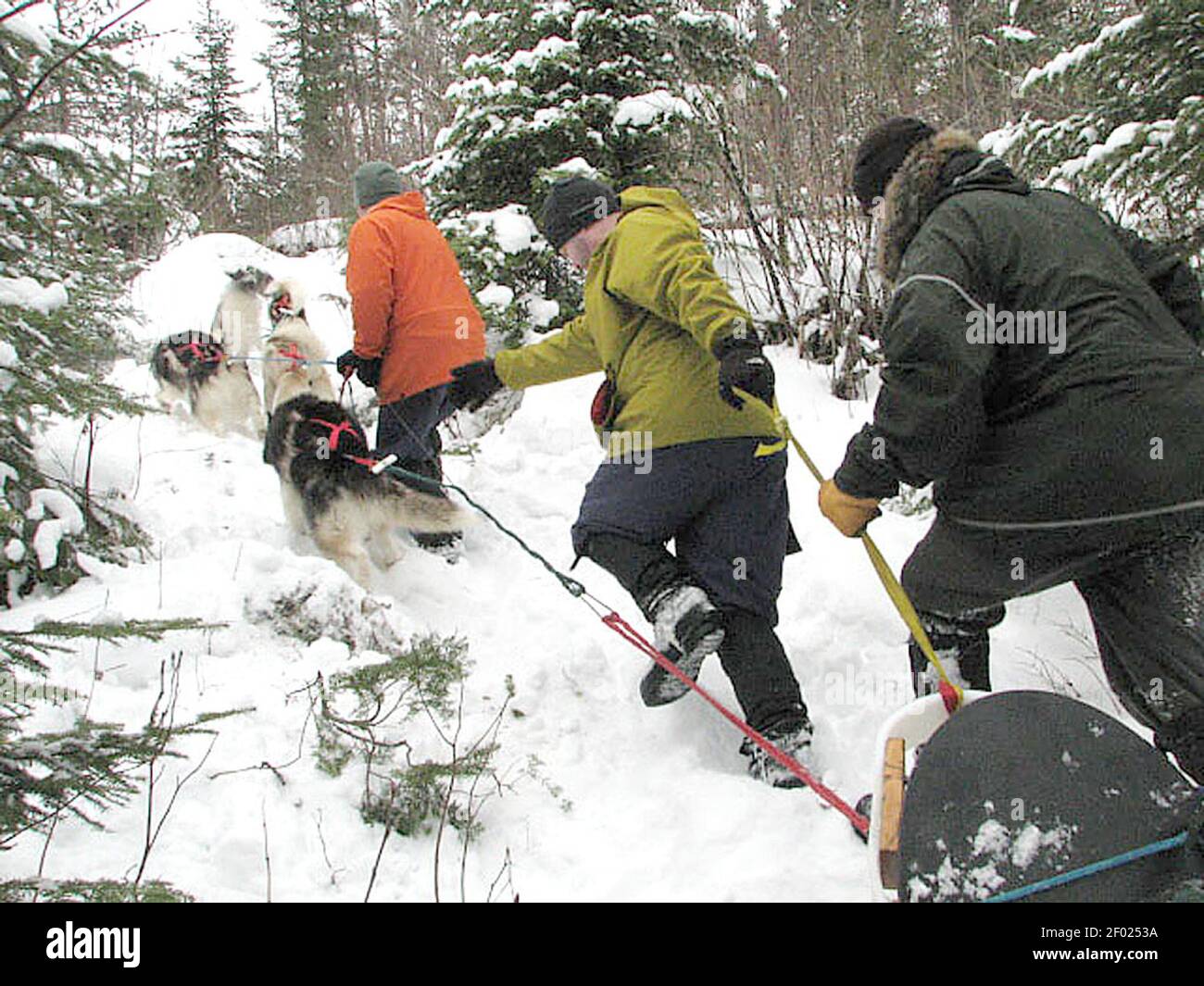 Veterans on an Outward Bound course help a team of sled dogs pull a 500 ...