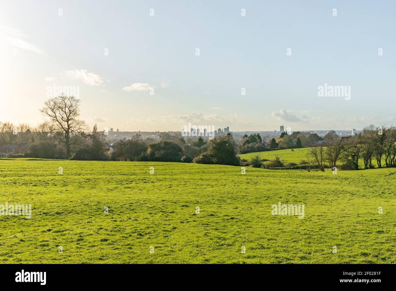 Rooftops, countryside, trees, fields, and high buildings in Leicester ...