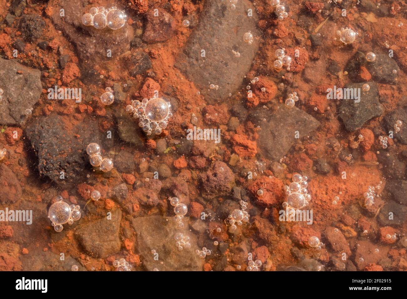 Bubbles form in a puddle on a gravel and red cinder surface Stock Photo ...