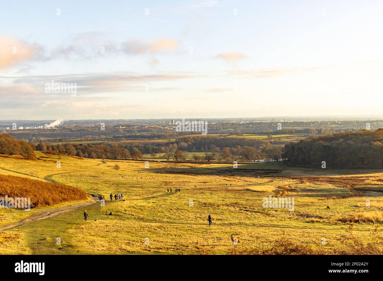 Large green grass area, people walking down a footpath, large forest ...