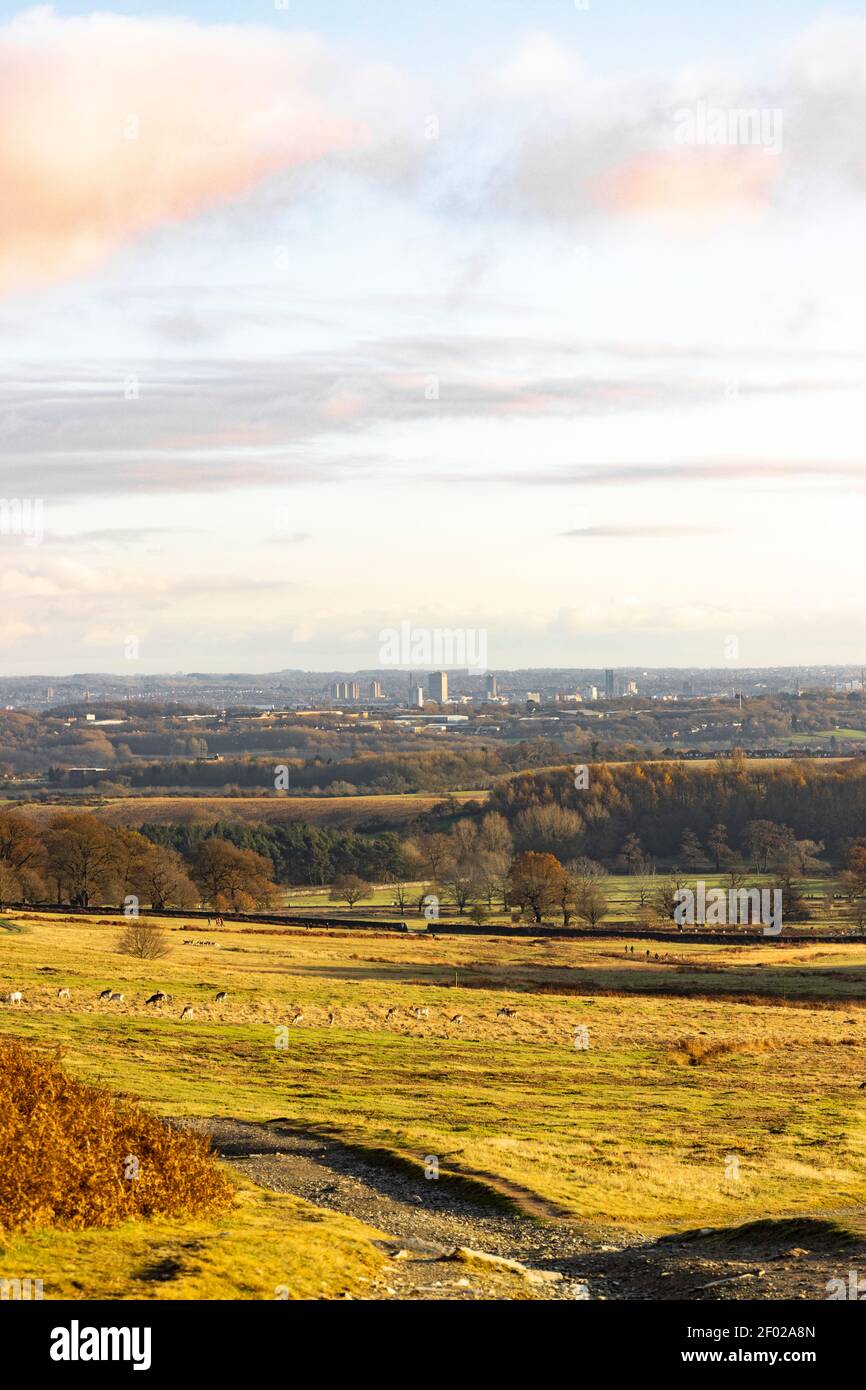 Large green grass area, a path going down, large forest areas, and ...