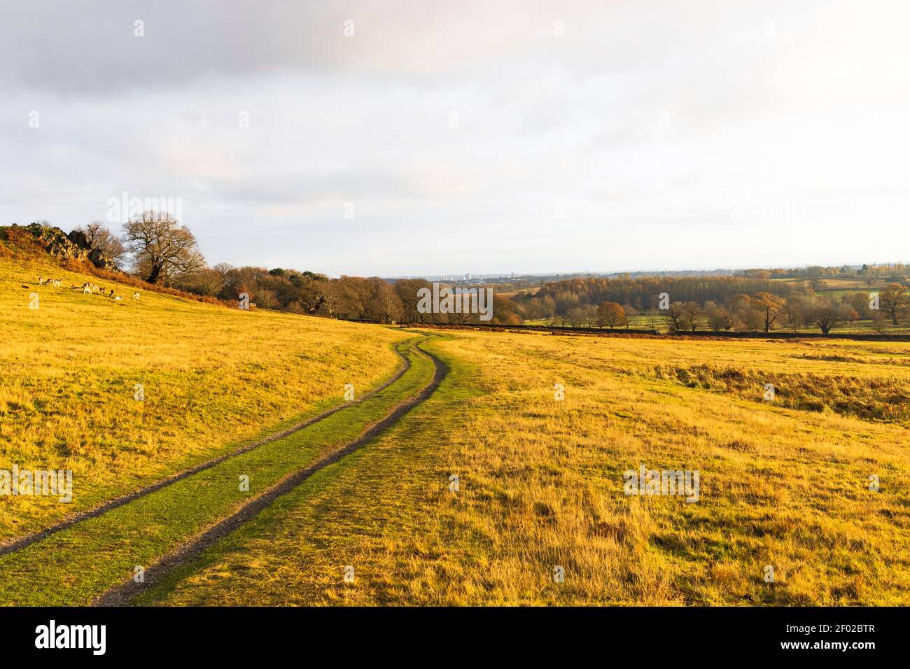 Large green grass area, a path going down, large forest areas, and ...