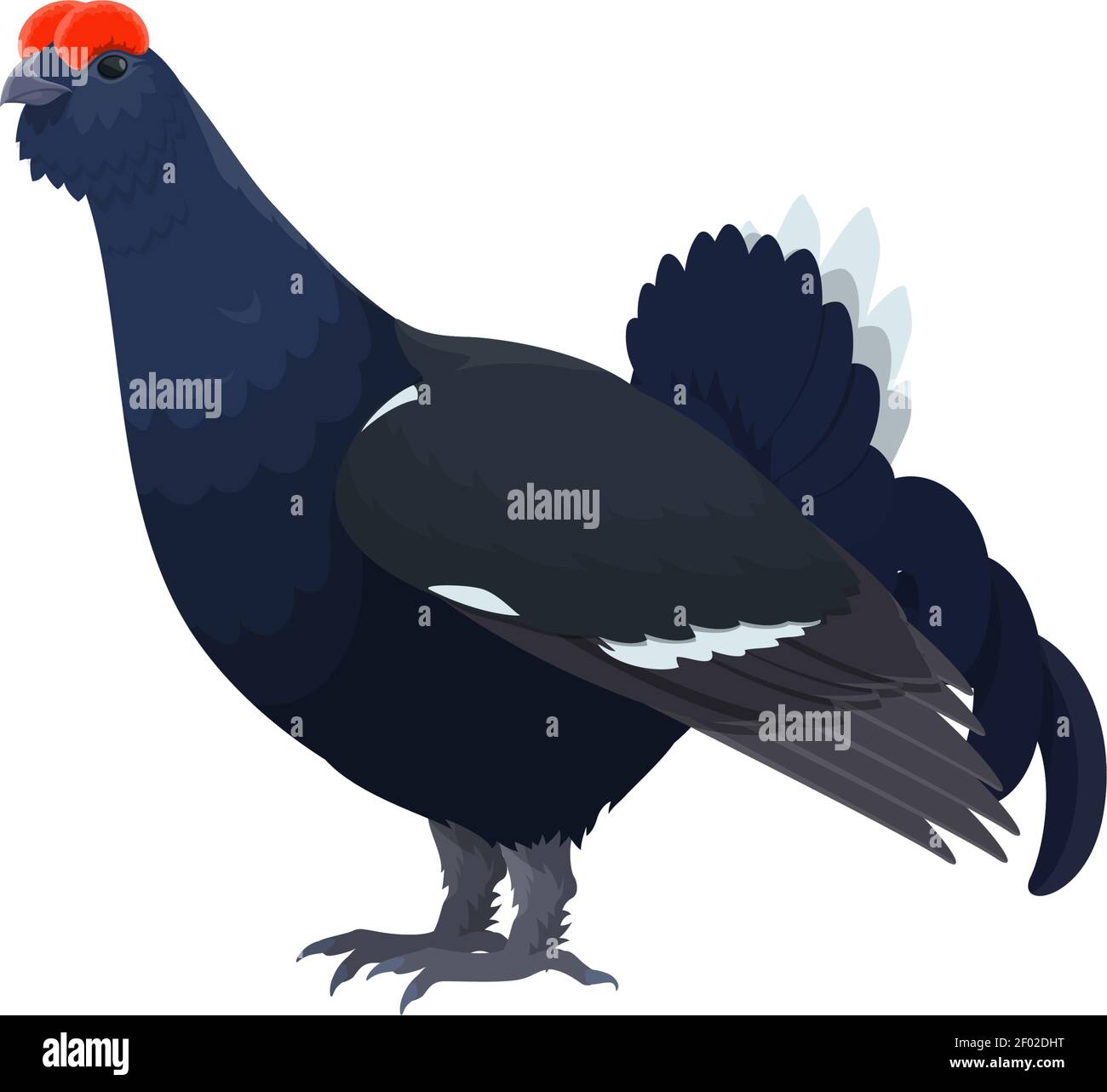 Blackcock fowl vector vectors hi-res stock photography and images - Alamy