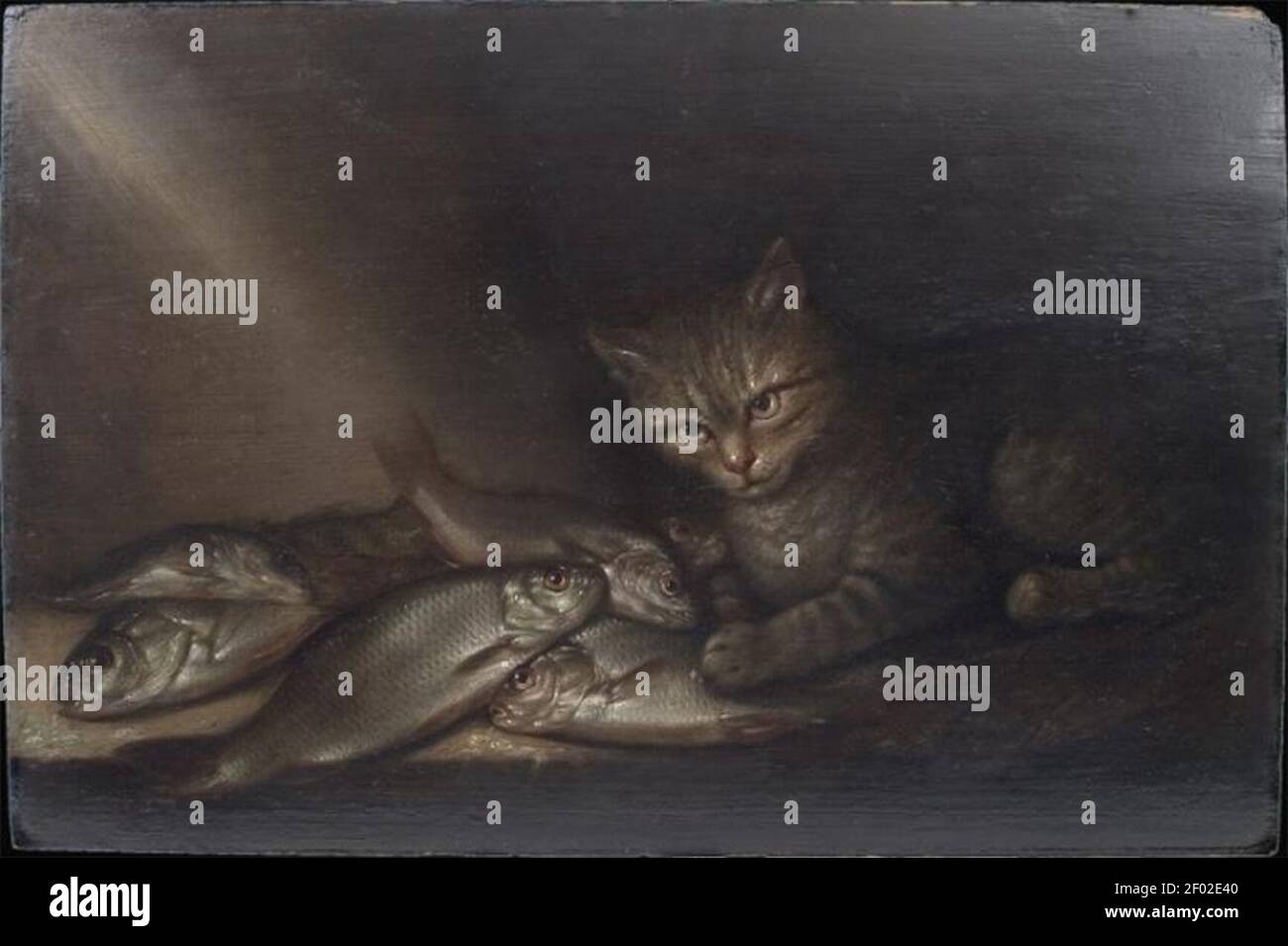 Putter fish hi-res stock photography and images - Alamy