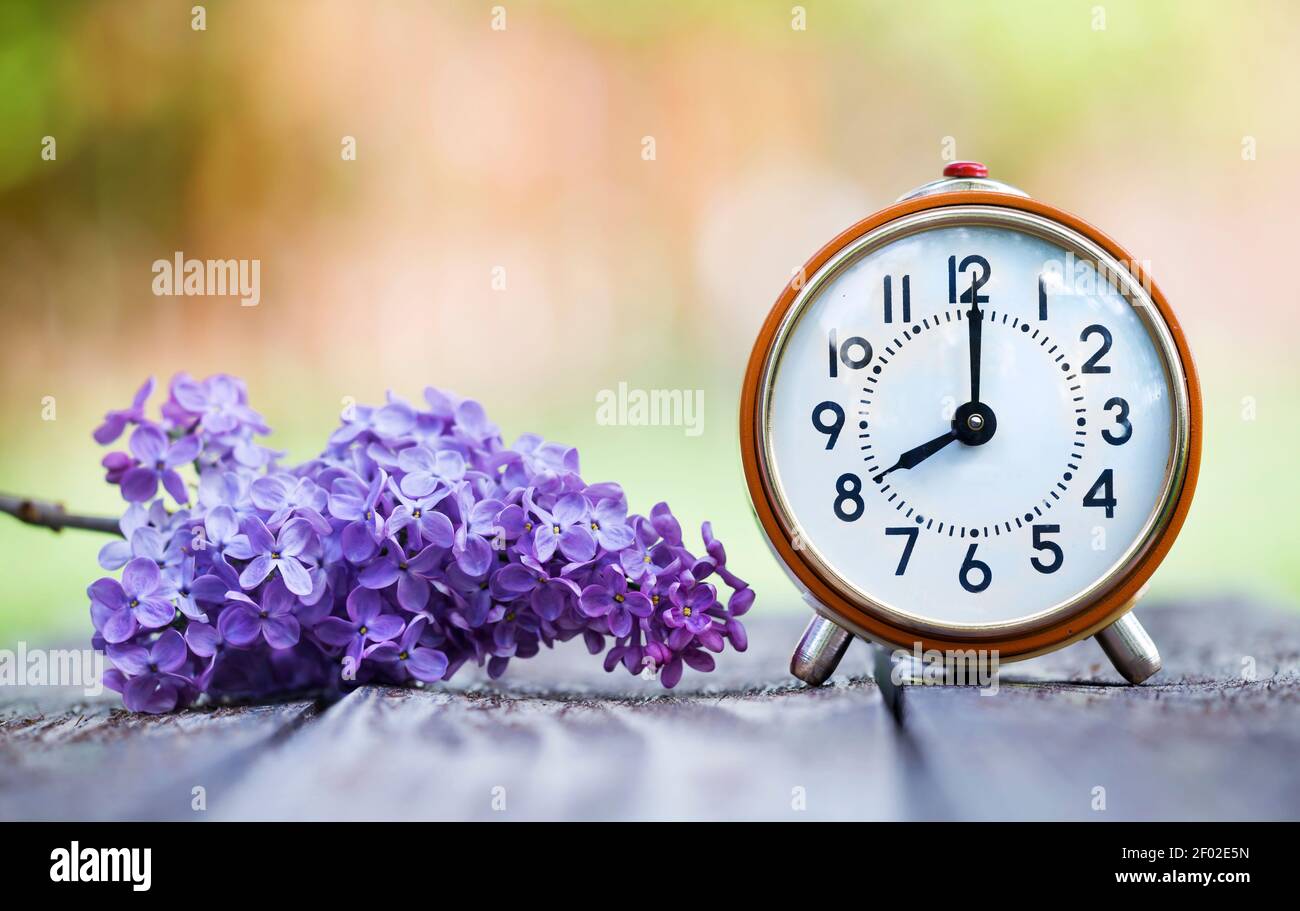 Save time, daylight savings concept, retro clock with purple lilac ...