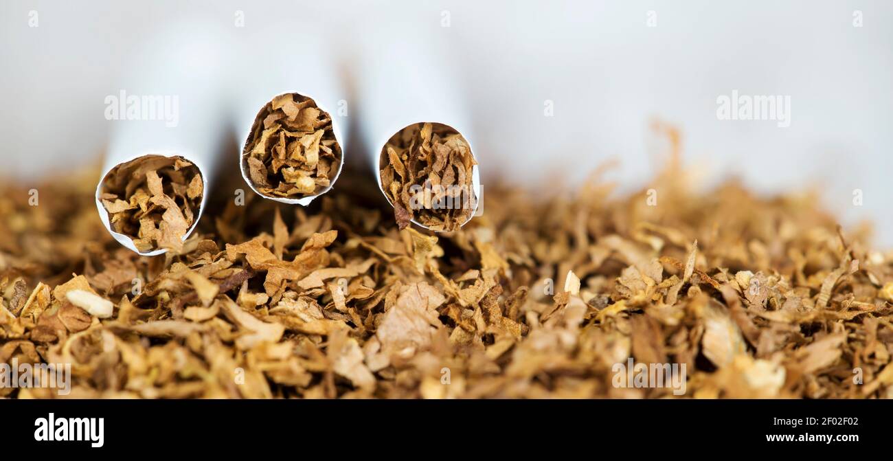 Rolled cigarette hi-res stock photography and images - Alamy