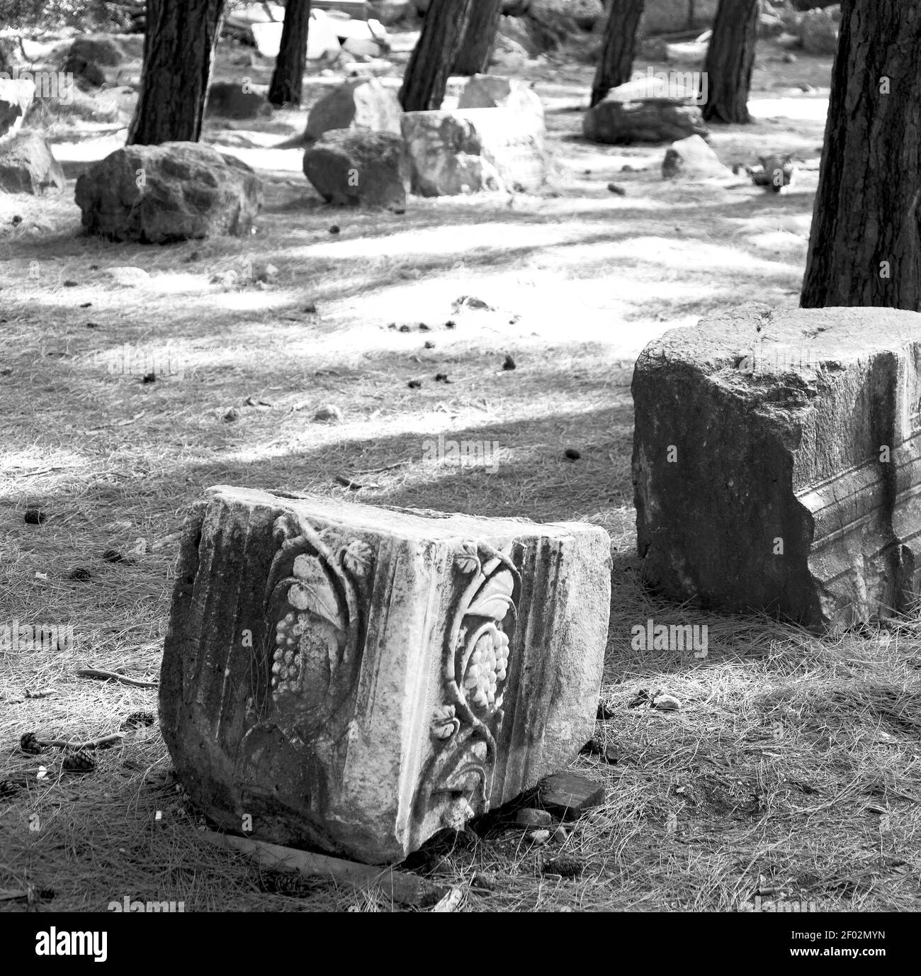 Old ruined column and destroyed stone in phaselis temple turkey asia ...