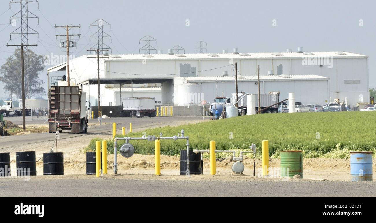 A cow has tested positive for mad cow disease at Baker Commodities, a ...