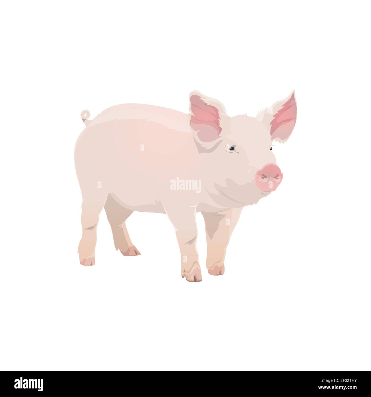 Pig, farm animal icon, vector cattle farming and pork meat food product ...