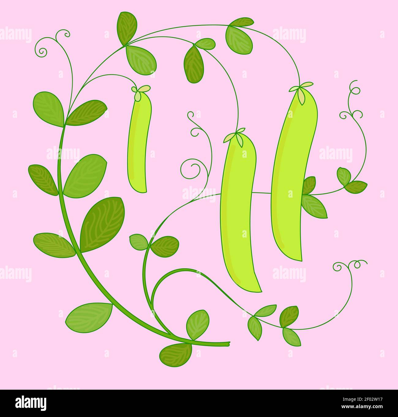 Seed pods garden Stock Vector Images - Alamy
