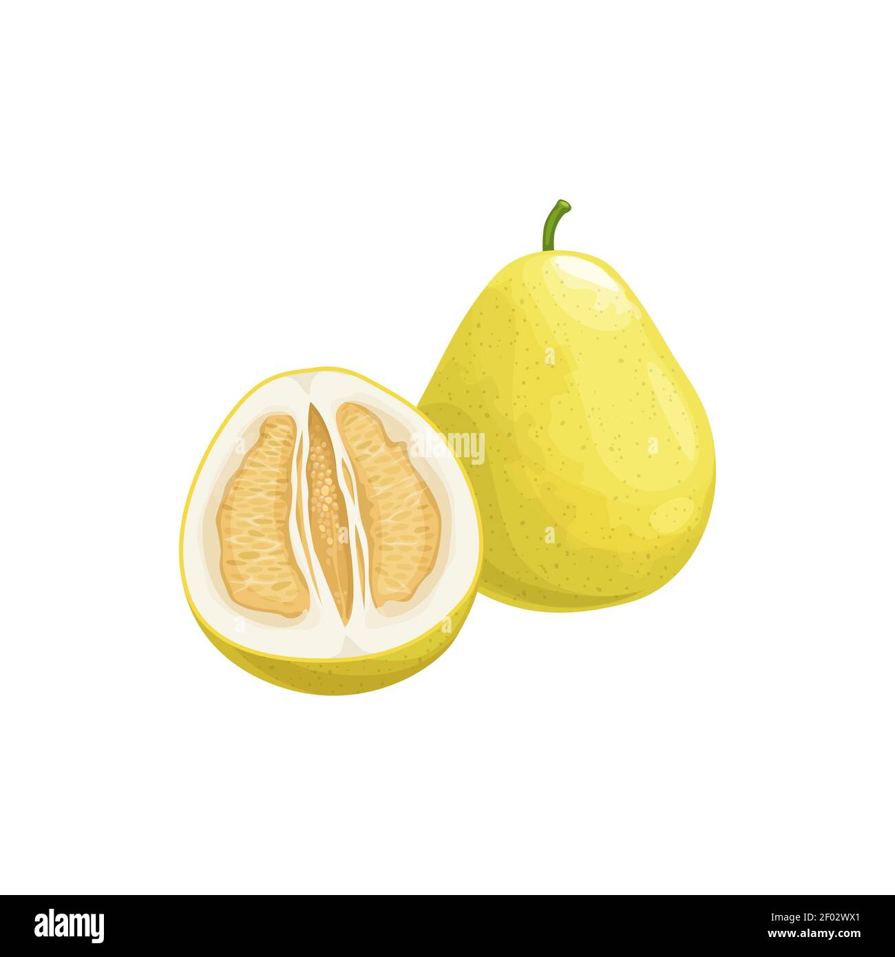Pomelo fruit, tropical exotic citrus, vector isolated food icon. Pomelo ...