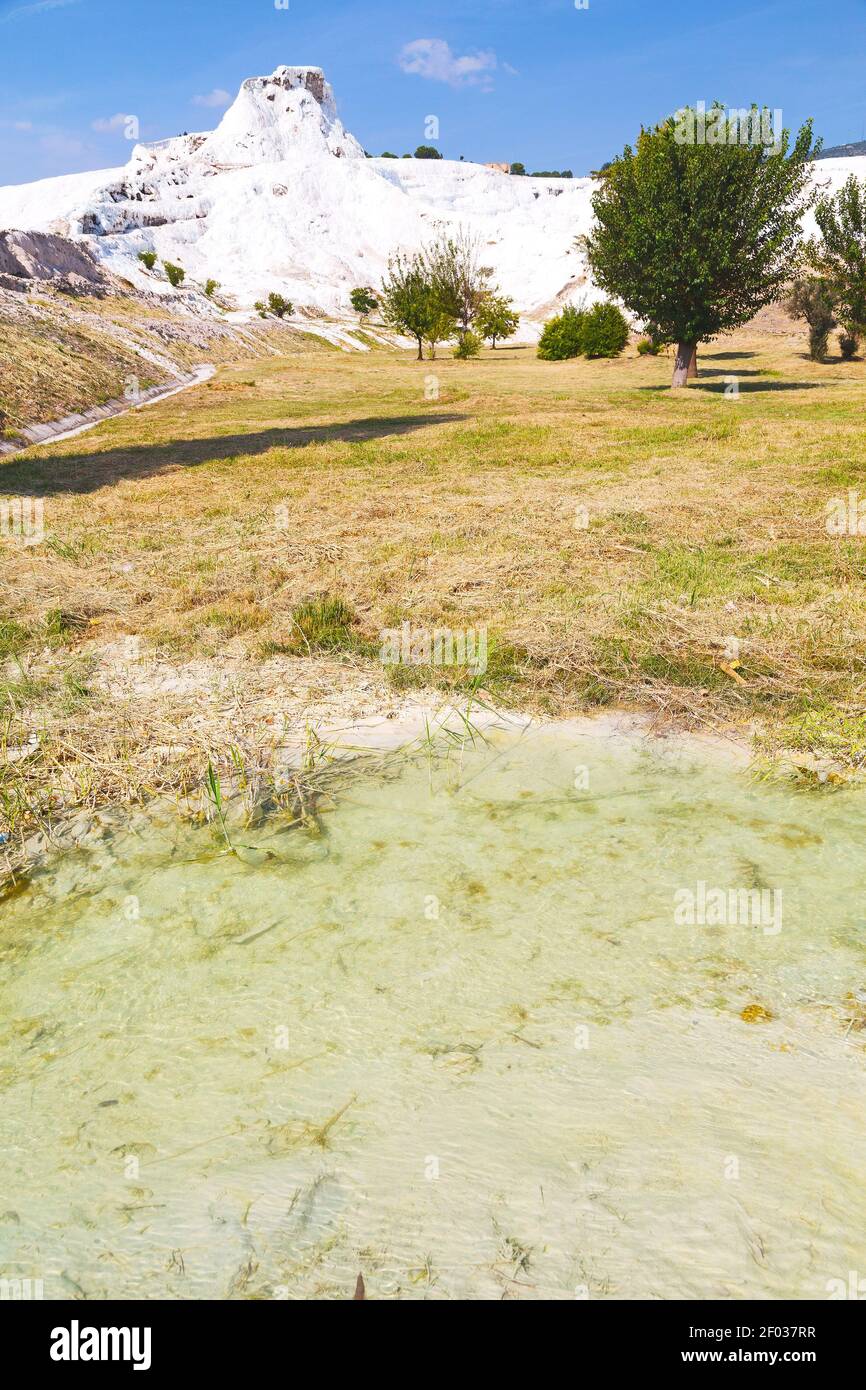 Tree unique old calcium bath Stock Photo - Alamy