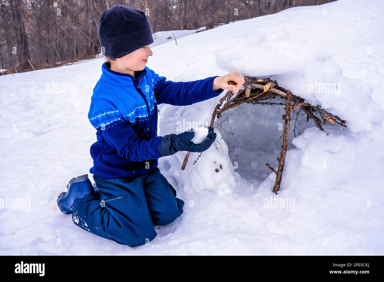Young boy building a hut with a snowy and branches in the winter forest ...