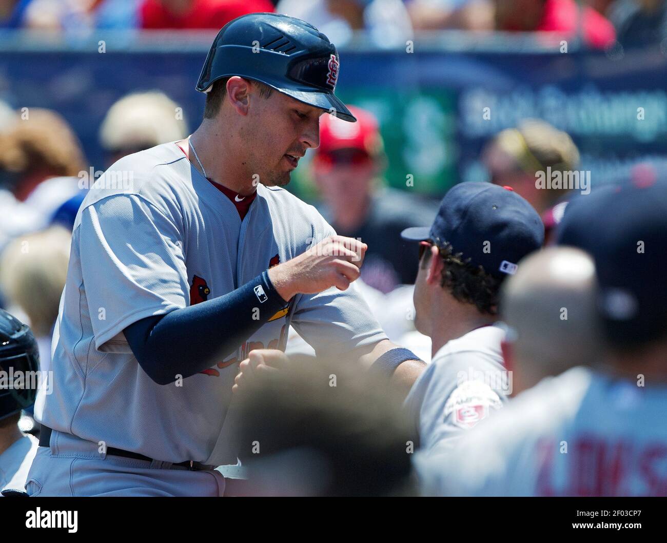 St. Louis Cardinals' Allen Craig (21) is congratulated at the dugout ...