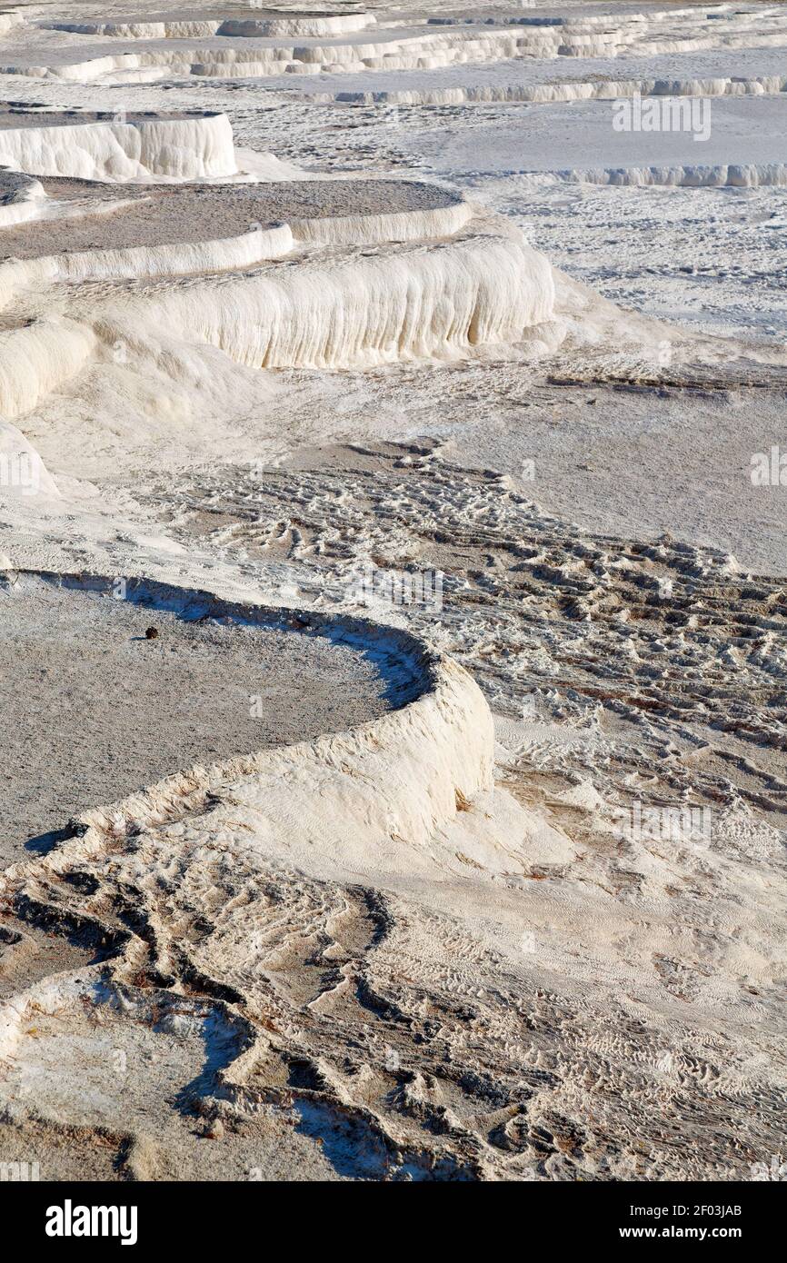 Asia the old water calcium turkey Stock Photo - Alamy