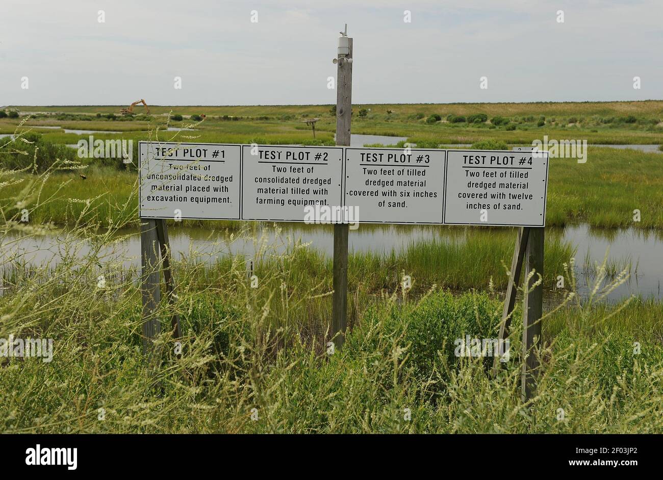 Mary talbot hi-res stock photography and images - Alamy